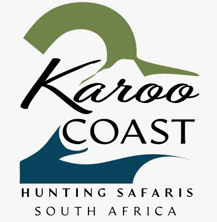Springbuck Copper - Karoo 2 Coast Hunting Safaris
